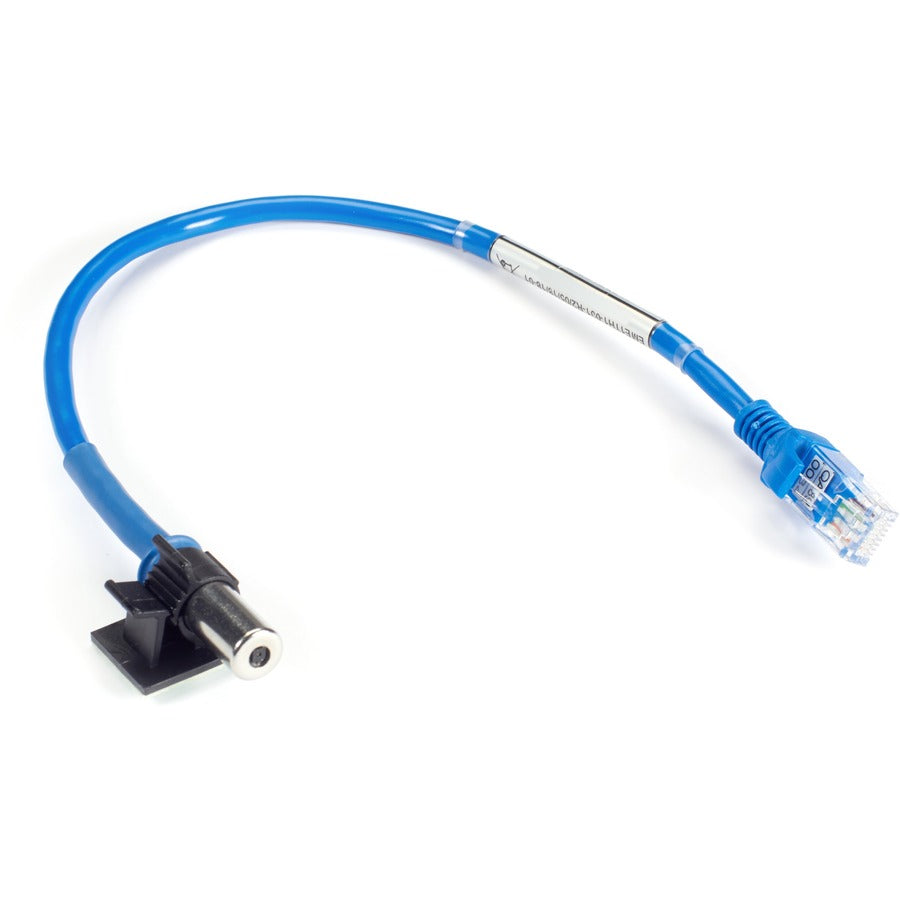 Black Box Dual Temperature/Humidity Sensor Cable - 1-ft. (0.3-m ...
